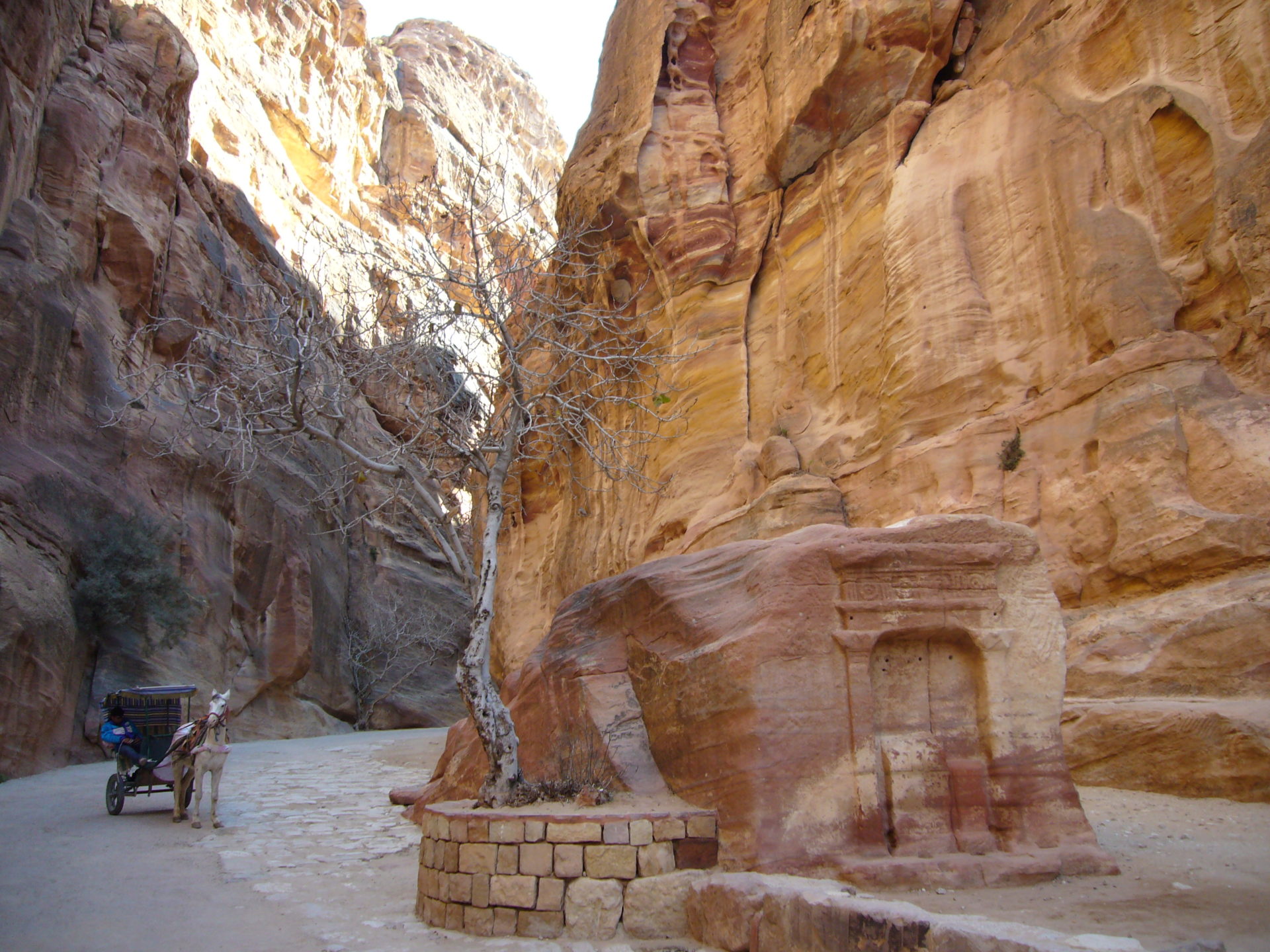 Petra | New7Wonders of the World