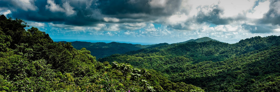 El Yunque | New7Wonders of Nature