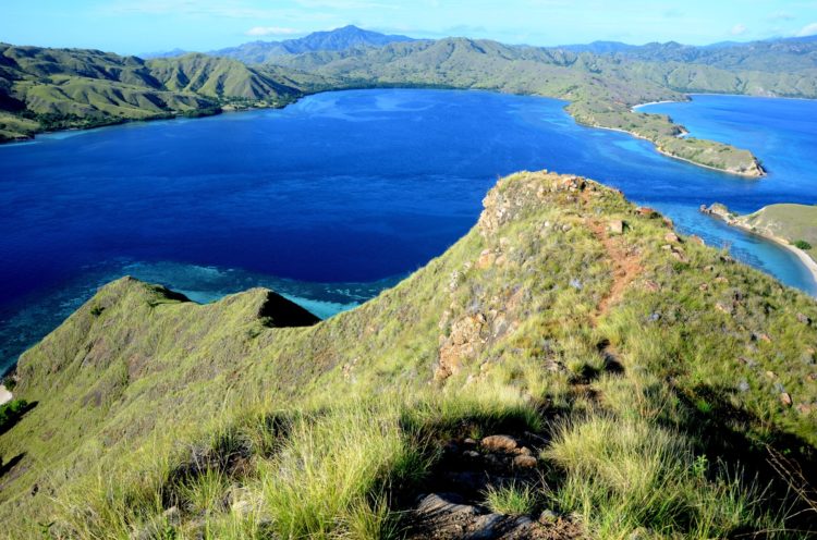 Komodo | New7Wonders of Nature